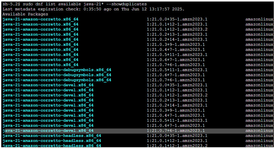 【AWS_22】Apache、Tomcat、Javaをインストールしてみる | しっぱいはせいこうのもと